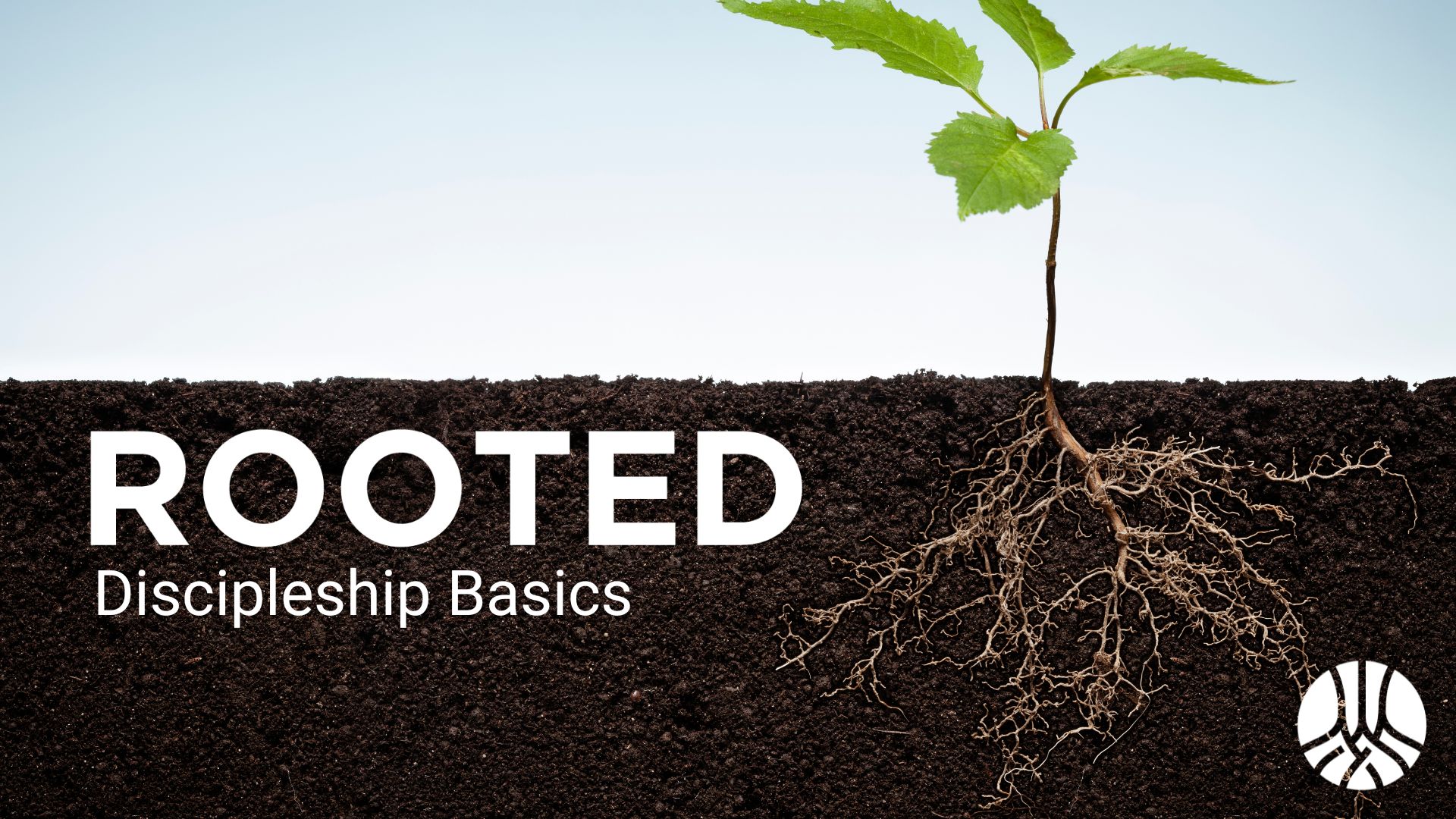 Pearce Church – Rochester, NY – Transforming lives for Christ!